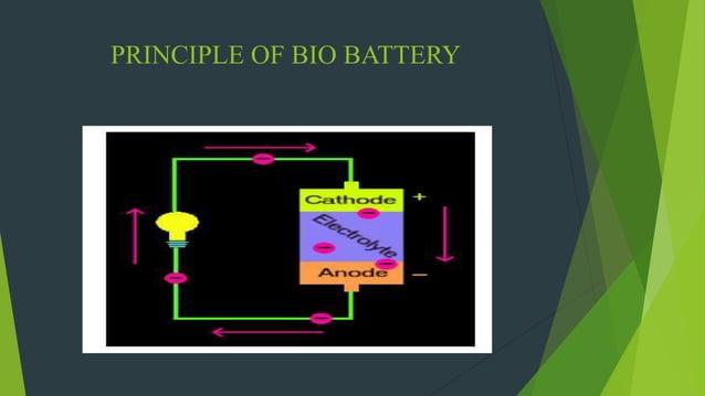 Bio Battery.pptx