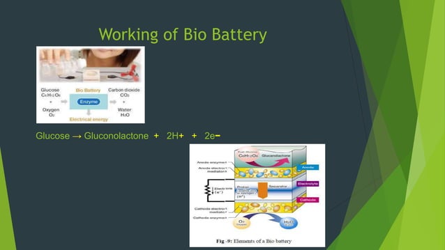 Bio Battery.pptx
