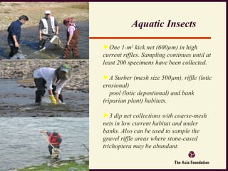 TAF's Biobeer presentation | PPT