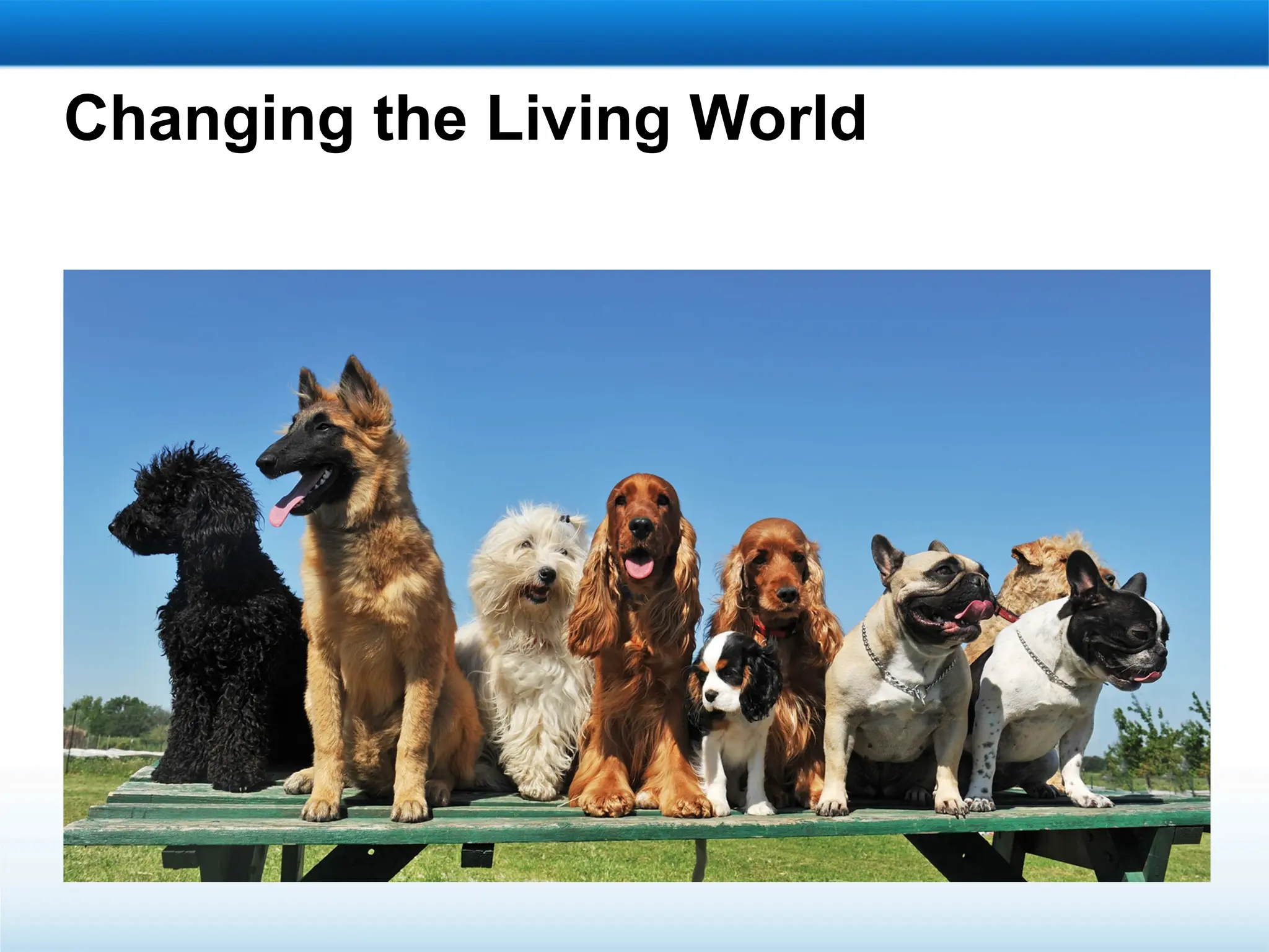 BIO_BIOT_L01_Editable_Presentation.ppt heredity | PPT