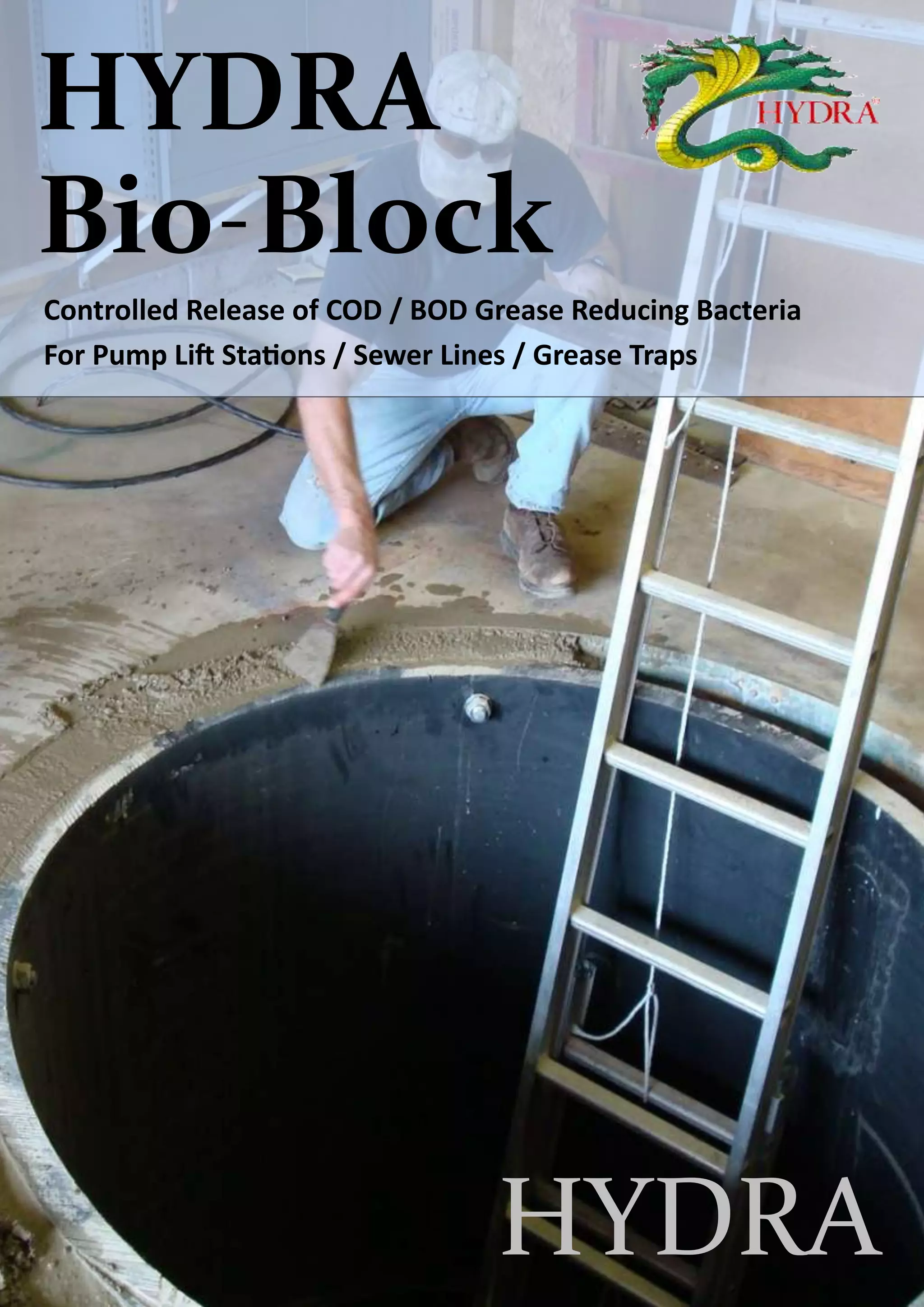 Hydra Bio Blocks for Grease Trap Bacteria Treatment | PDF