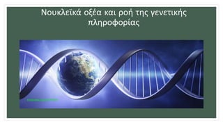 Νουκλεϊκά οξέα | PPTX
