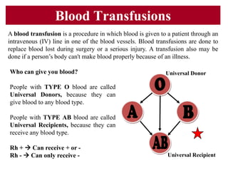 Bio bloodbasics | PPT