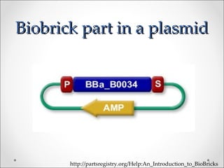 Biobricks | PPT