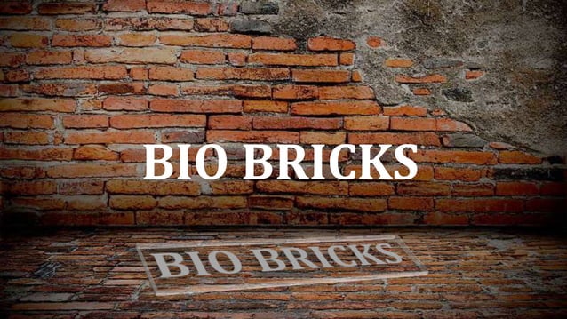 A presentation on Bio Bricks project.pptx