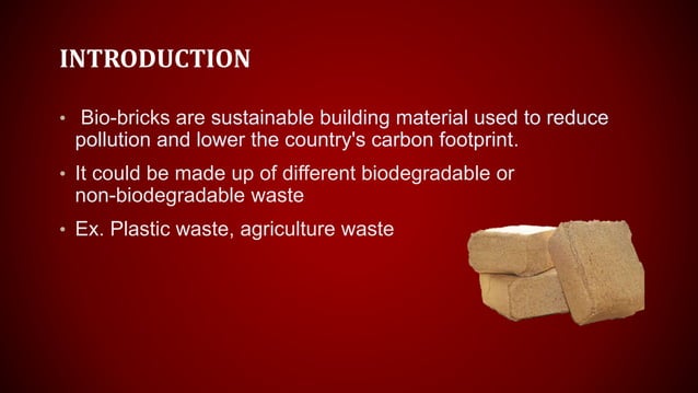 A presentation on Bio Bricks project.pptx