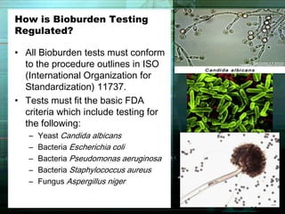 Bioburden Testing | PPTX