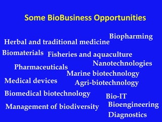 Bio business Hussein Sabit | PPTX