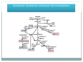 Biobutanol A Presentation By Mr Allah Dad Khan Agriculture Expert KPK ...