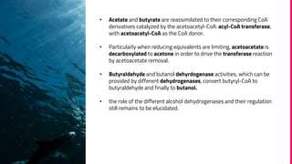Bio butanol 2016 - English Format | PPTX | Chemistry | Science