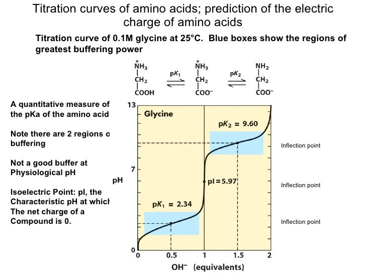 Titration Curve Buffer Region