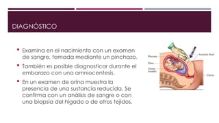 Fructosuria, galactosemia e intolerancia a lactosa | PPTX