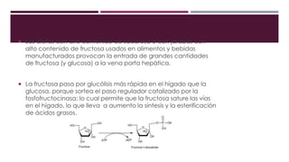 Fructosuria, galactosemia e intolerancia a lactosa | PPTX