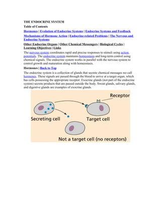 CAPE Biology unit 2 notes on the endocrine system | DOC