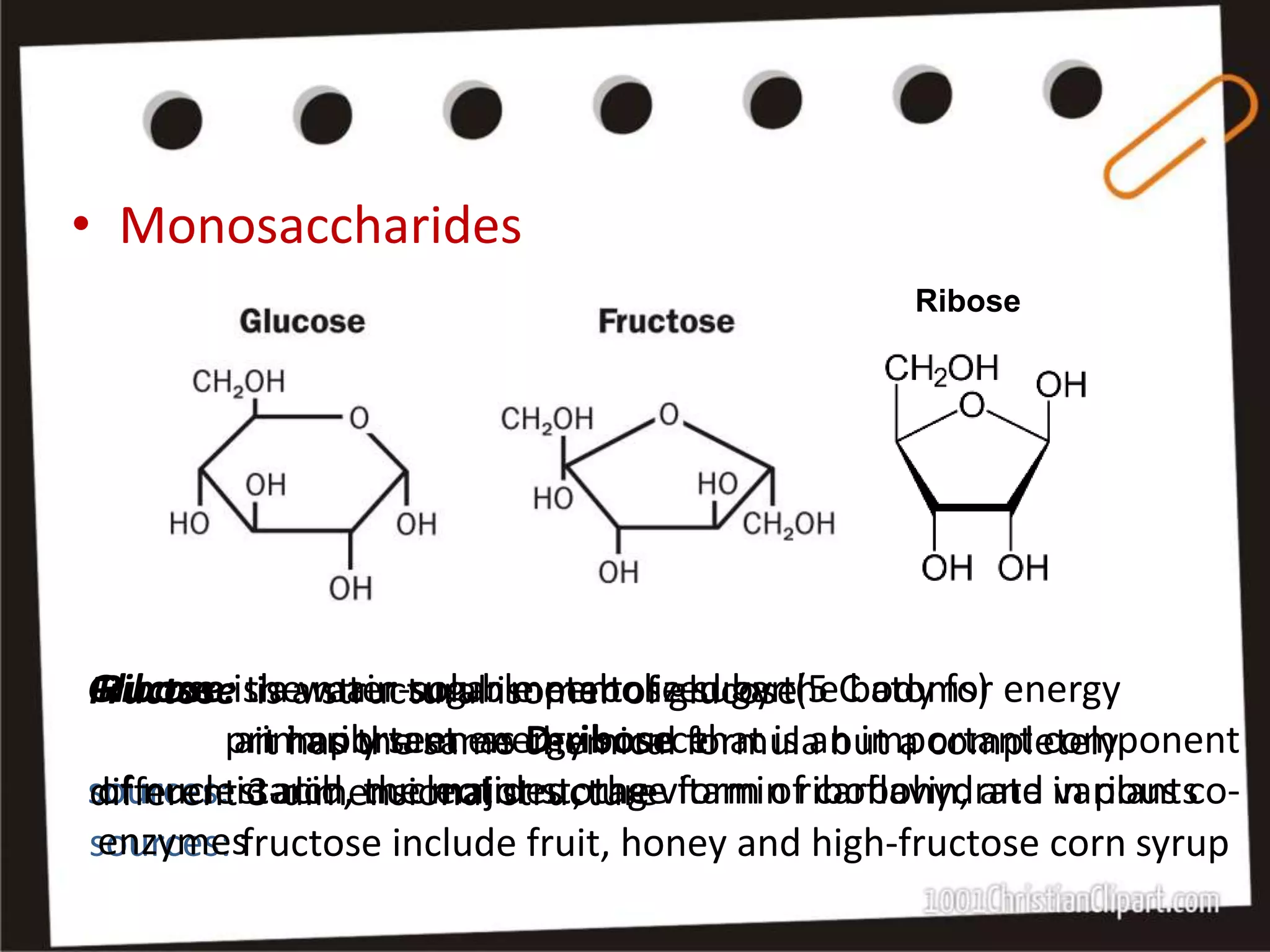 Carbohydrates: Classes and Functions | PPTX