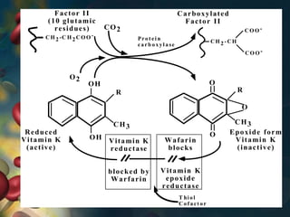 Bio transformation of Warfarin | PPTX