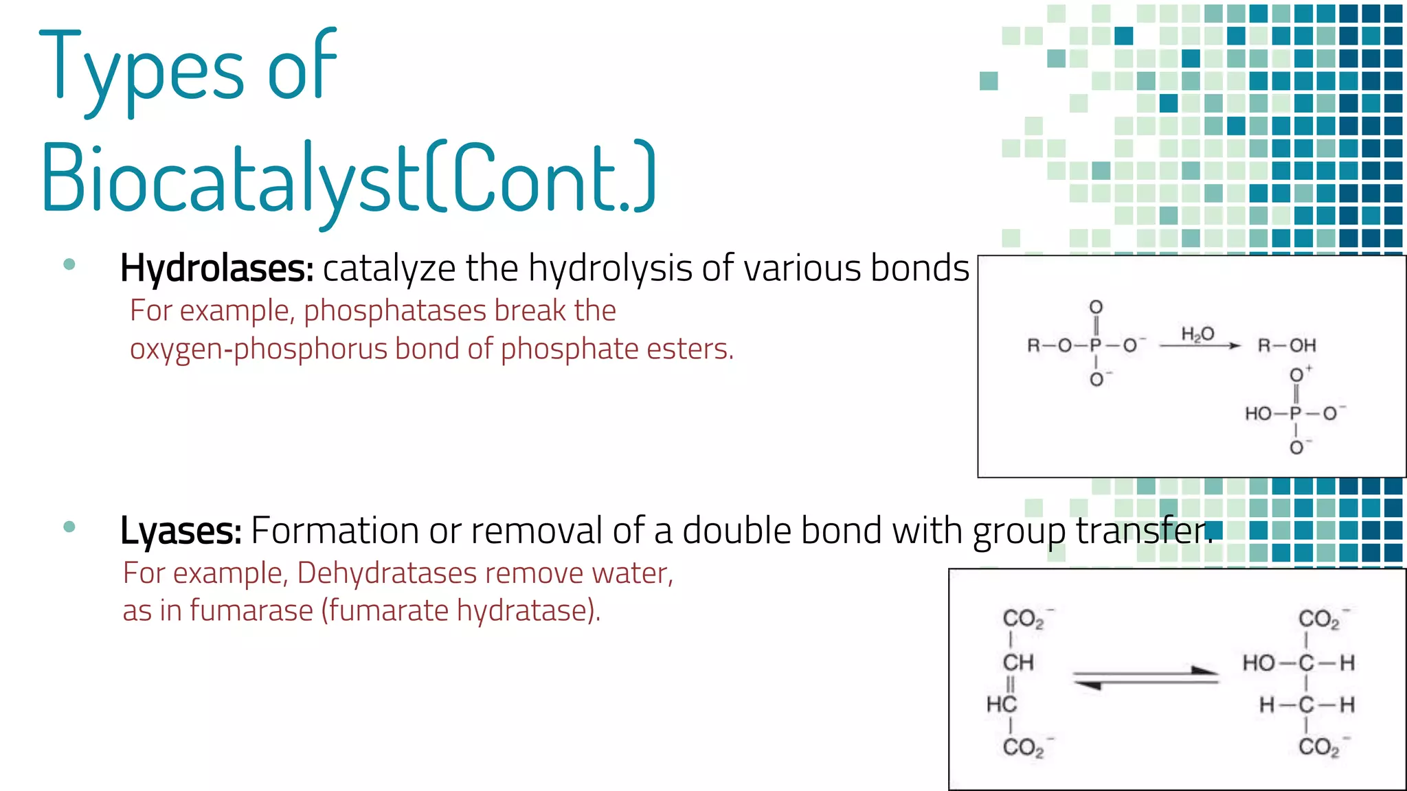 Bio catalysis | PPTX
