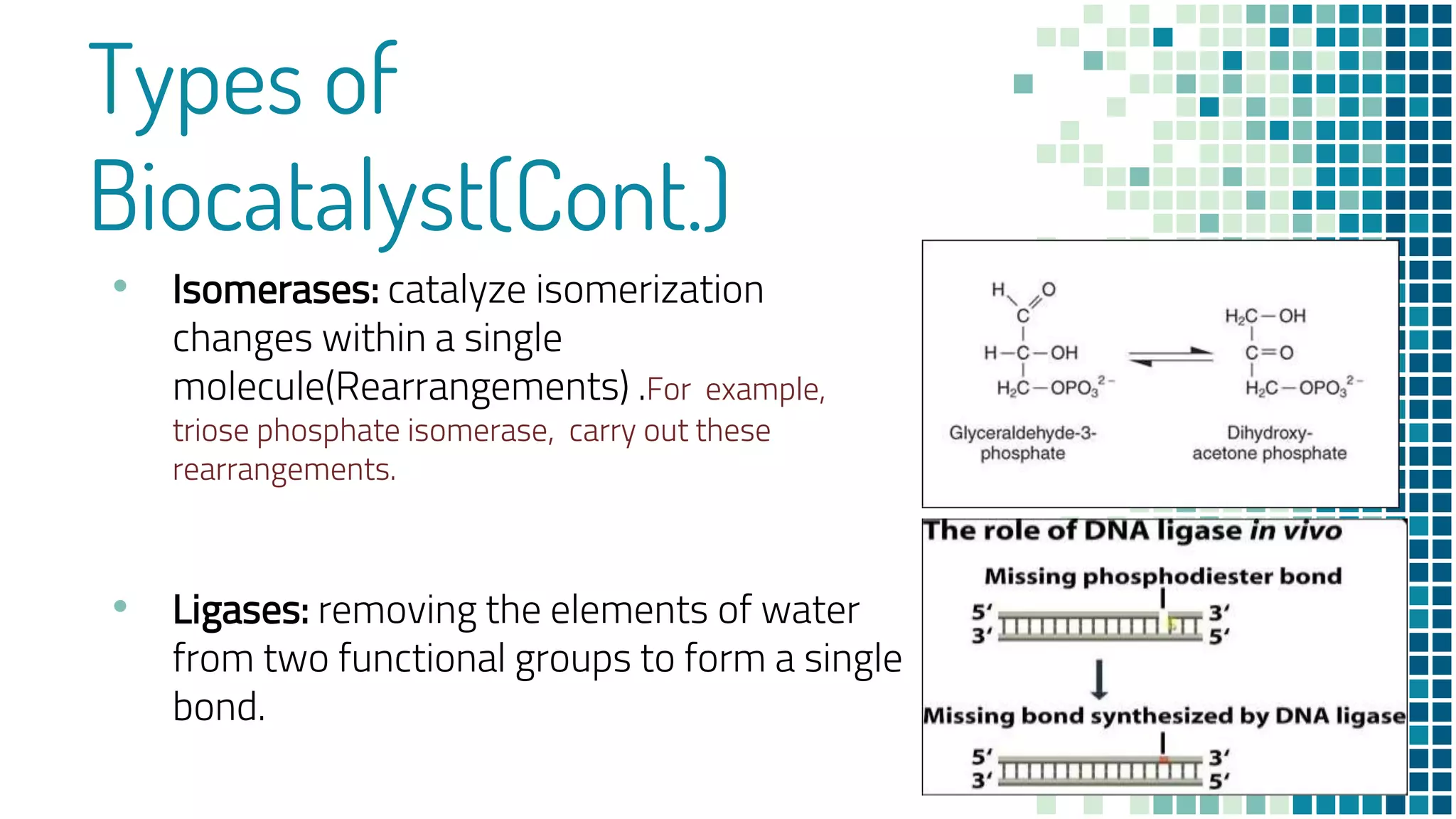Bio catalysis | PPTX