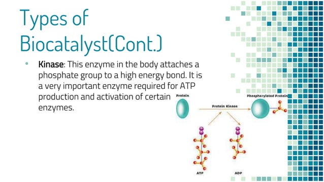 Bio catalysis | PPTX