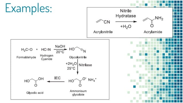Bio catalysis | PPTX