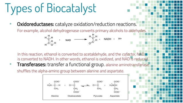 Bio catalysis | PPTX