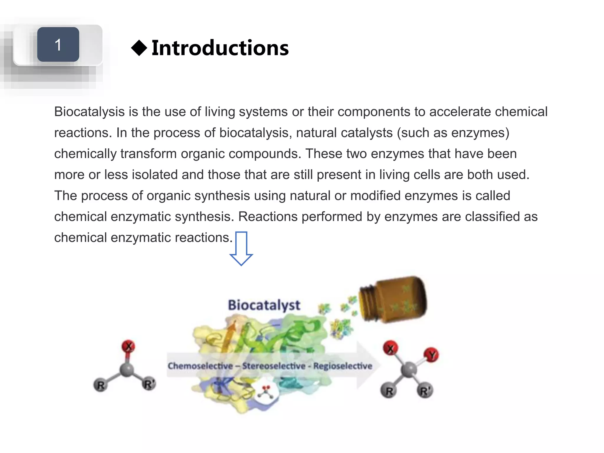 Biocatalysis services at Creative Enzymes | PPT