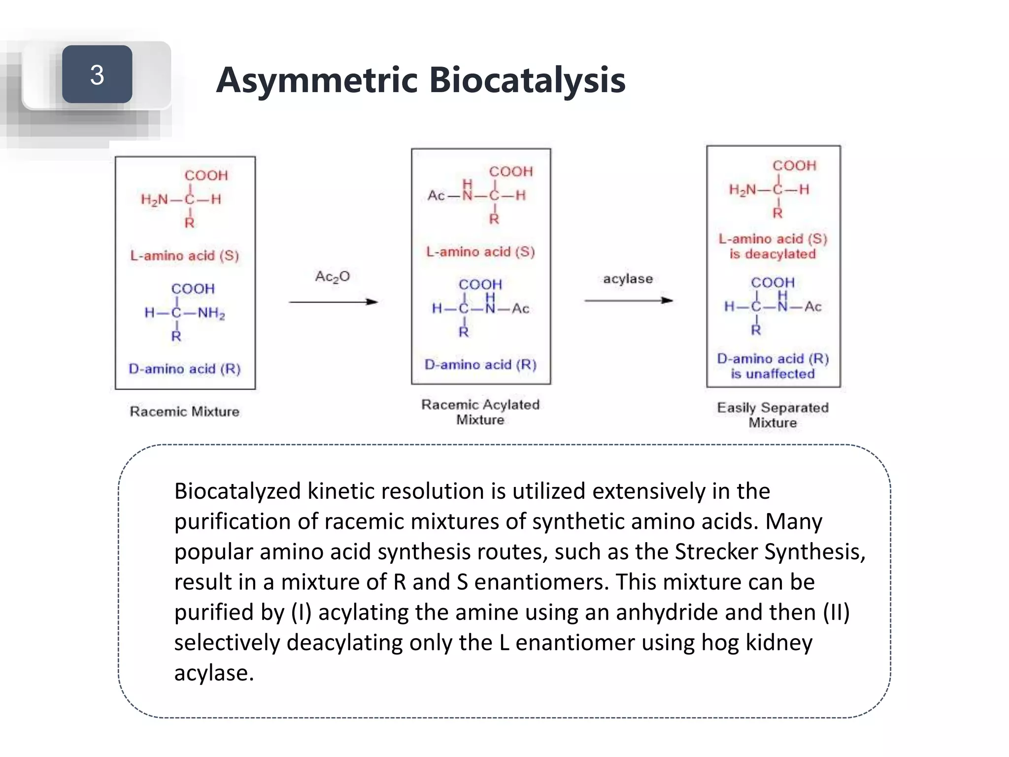 Biocatalysis services at Creative Enzymes | PPTX