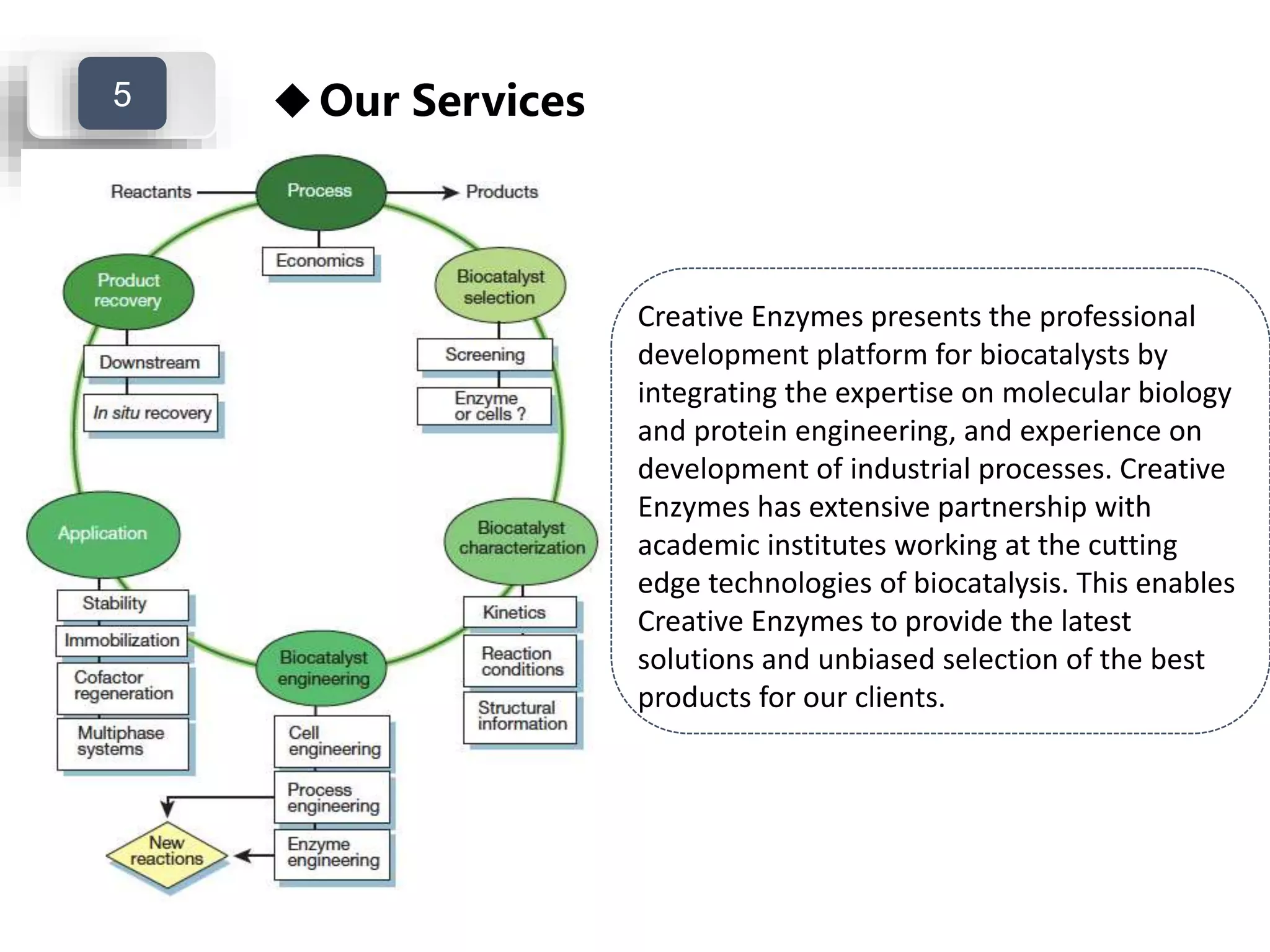 Biocatalysis services at Creative Enzymes | PPTX