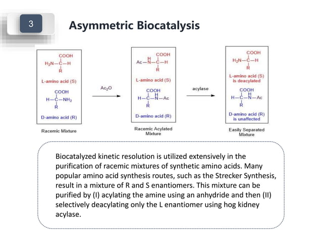 Biocatalysis services at Creative Enzymes | PPT
