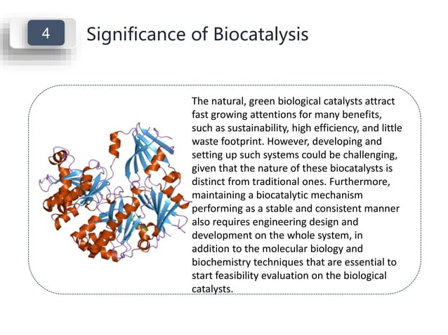Biocatalysis services at Creative Enzymes | PPT