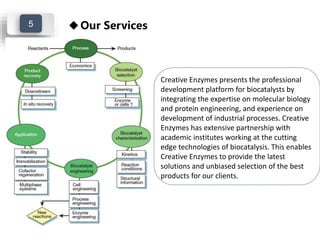 Biocatalysis services at Creative Enzymes | PPT