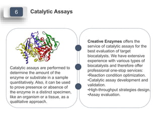 Biocatalysis services at Creative Enzymes | PPT