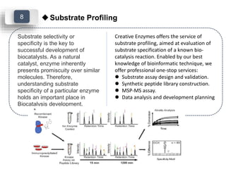 Biocatalysis services at Creative Enzymes | PPT