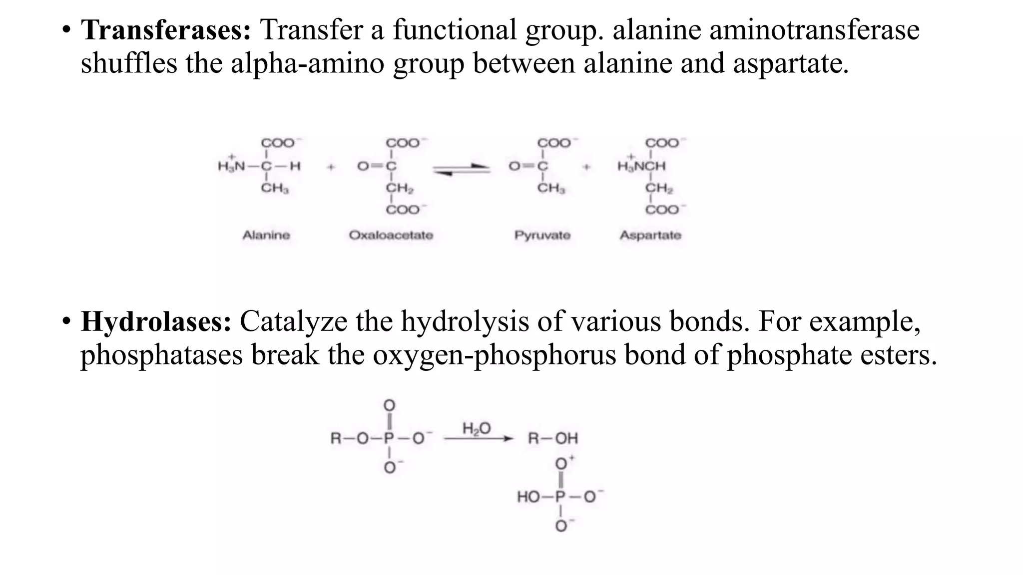 Biocatalysis.pptx