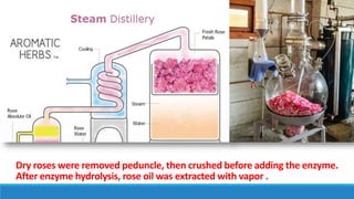 Biocatalysis in the production of essential oils | PPTX
