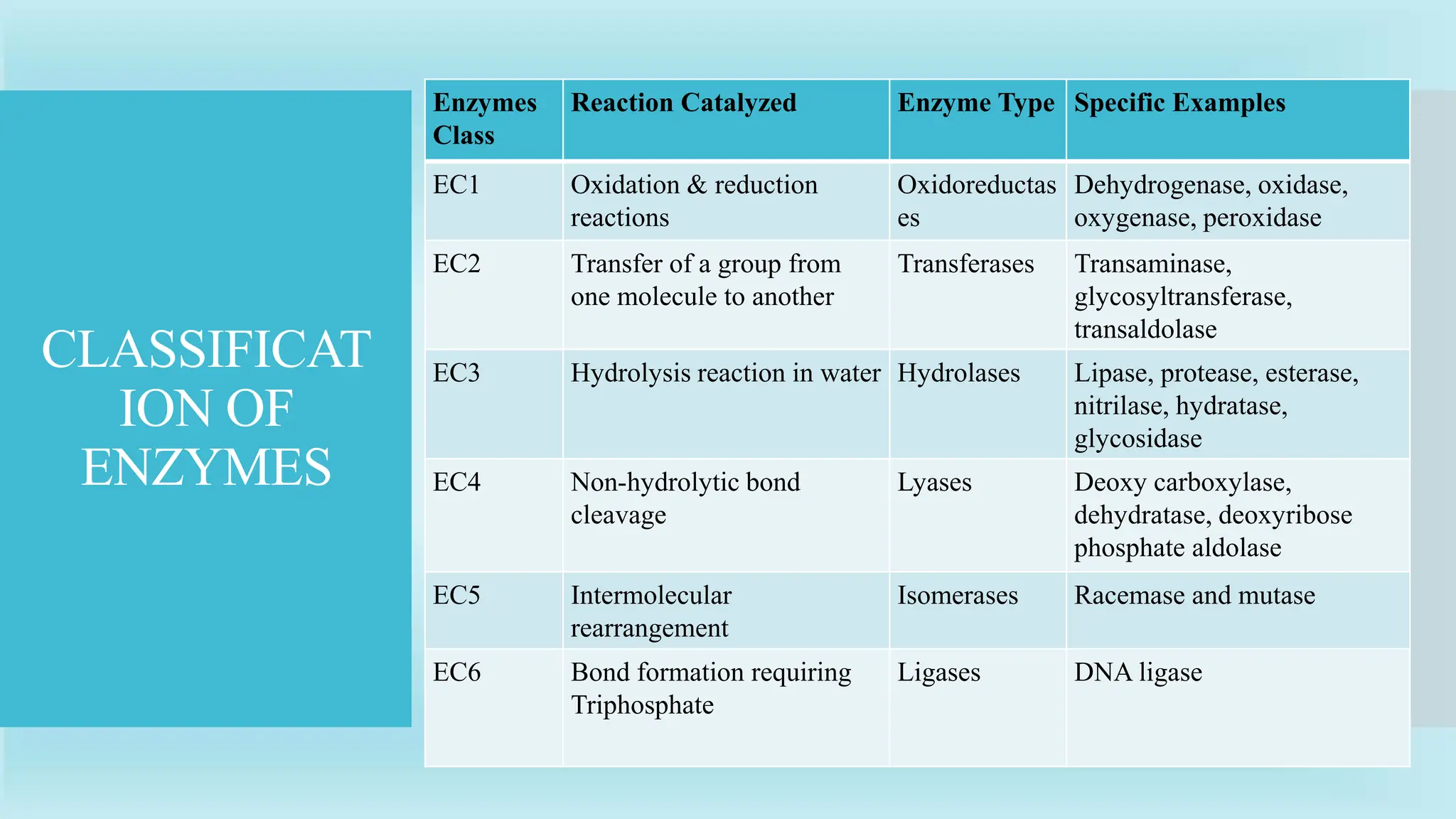 BIOCATALYST/SAGAR SHARMA/DEPARTMENT OF PHARMACEUTICAL SCIENCES KUK | PPTX