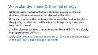Biocausality, the cell and the Schroedinger Machine concept | PPT