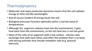 Biocausality, the cell and the Schroedinger Machine concept | PPT