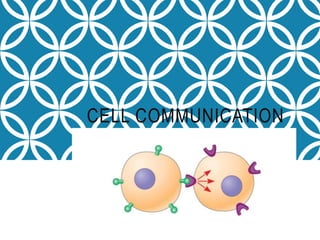 Bio_Cell_Communication for grade 12 students.ppt