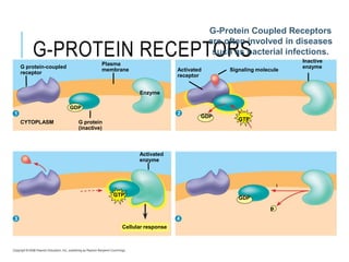 Bio_Cell_Communication for grade 12 students.ppt