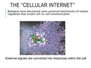 Bio_Cell_Communication for grade 12 students.ppt