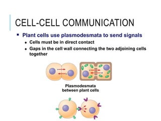 Bio_Cell_Communication for grade 12 students.ppt