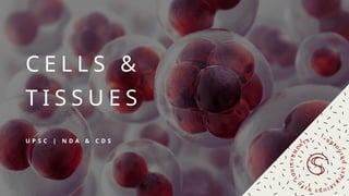 Eukaryotic cells organelles for class 9s | PPTX