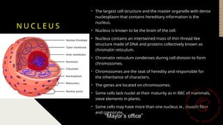 Eukaryotic cells organelles for class 9s | PPT