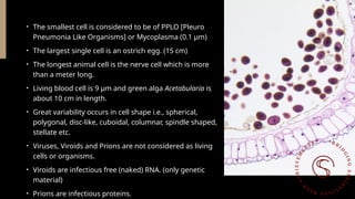 Eukaryotic cells organelles for class 9s | PPT