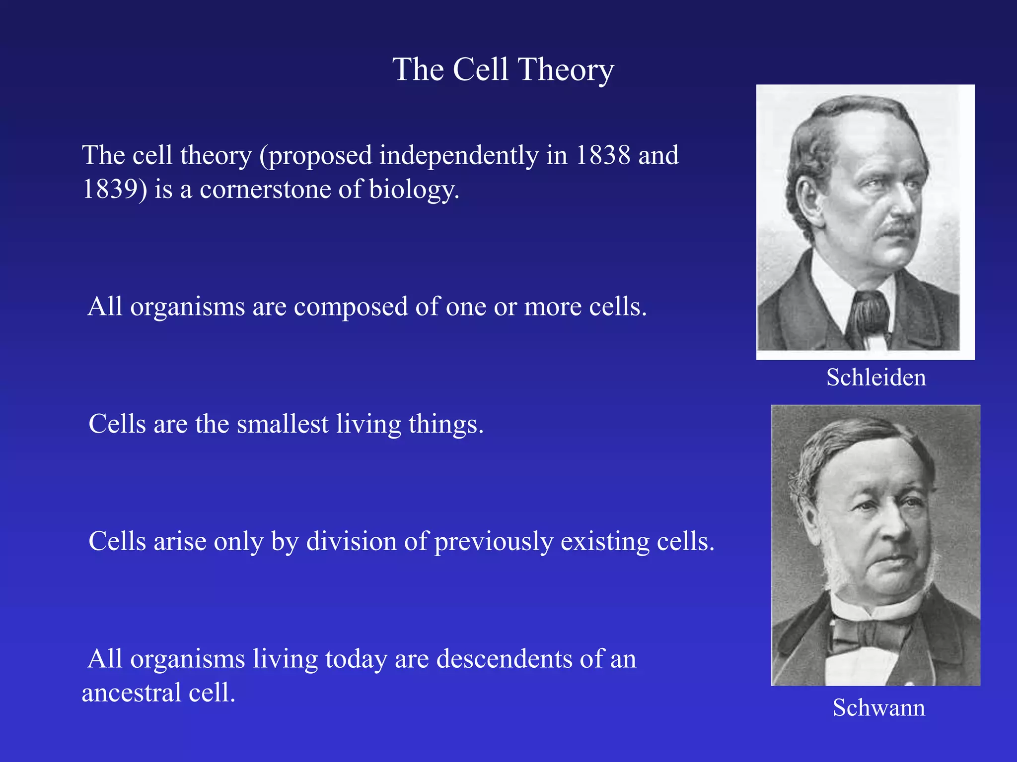 bio_cells_1_.ppt