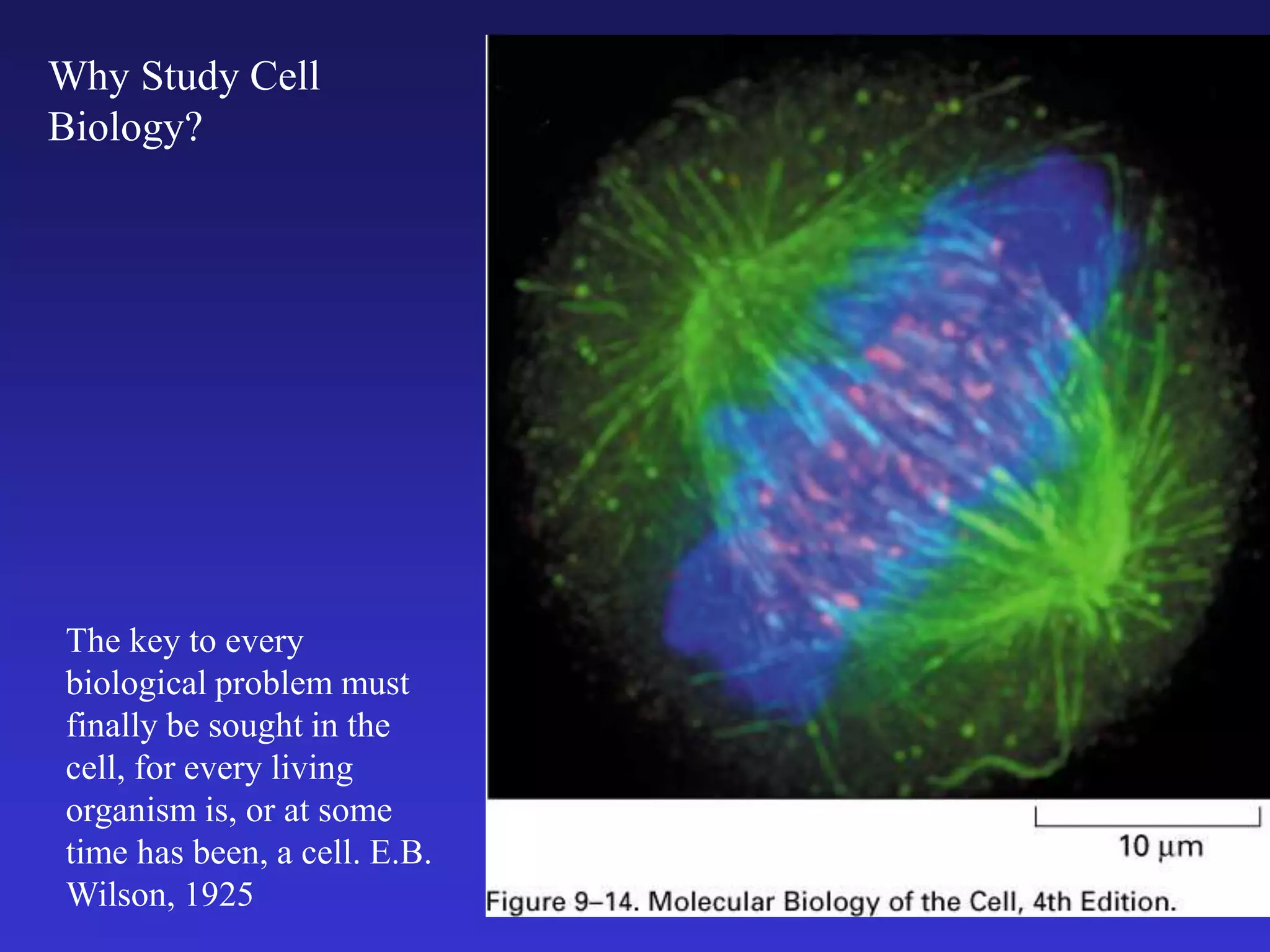 The key to cell biology: Understanding cells and their functions | PPT