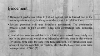 Biocement | PPTX
