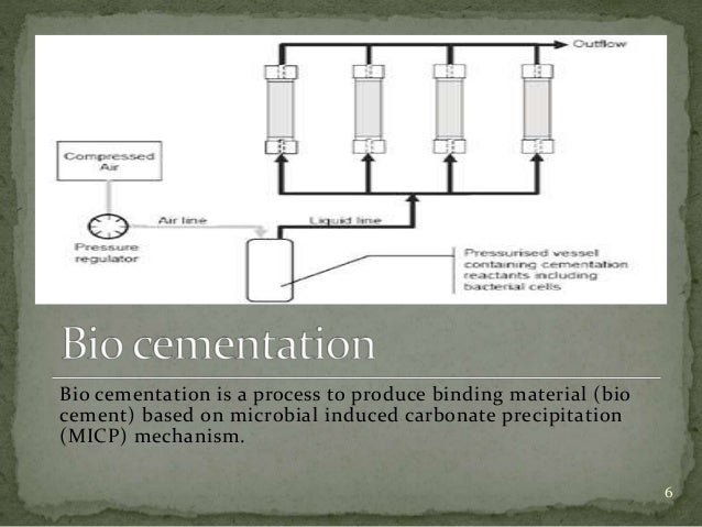 Bio Cement An Eco Friendly Construction Material