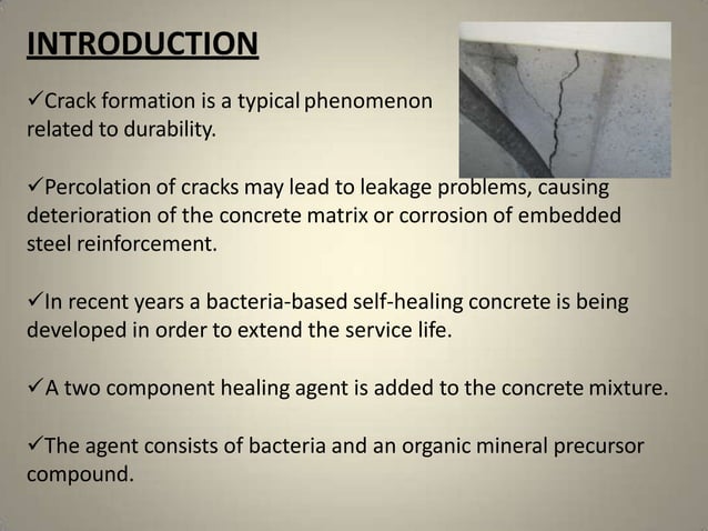 bio cement and concrete.pptx